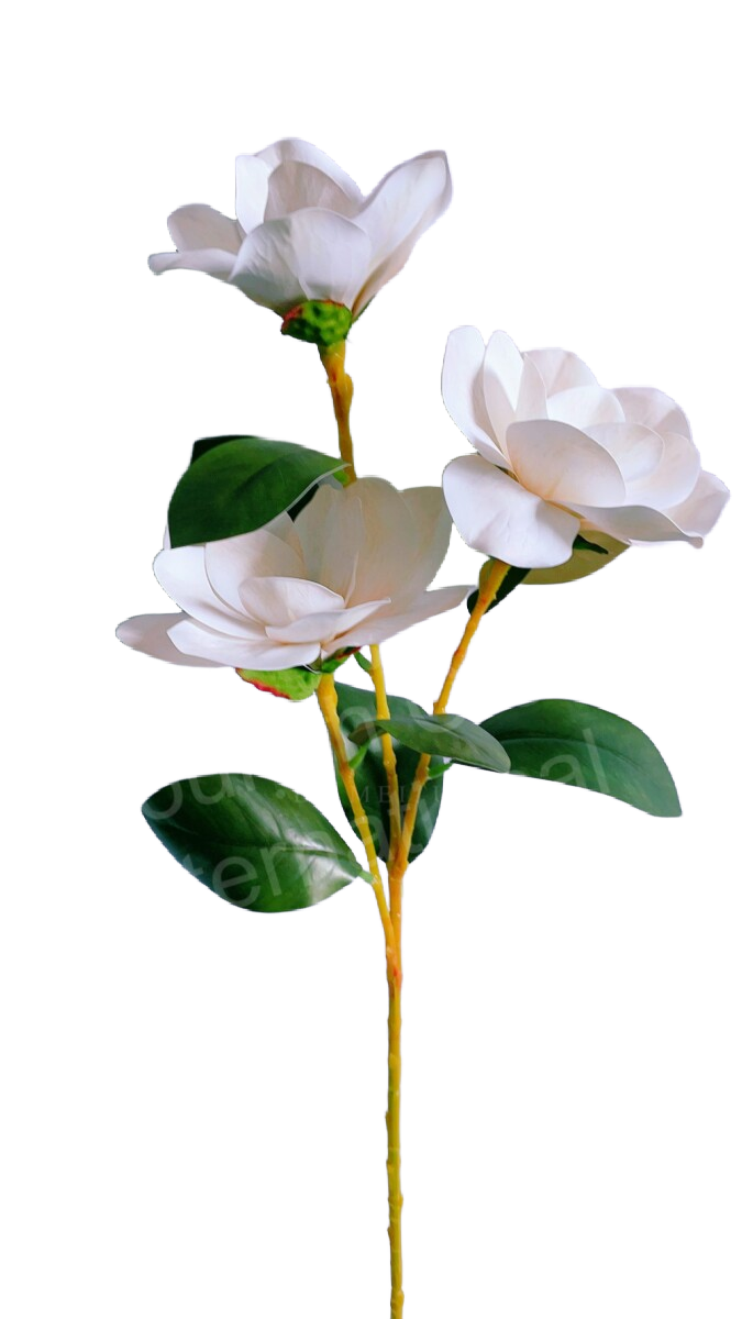 #1092 Magnolia Stem – flourish Craft International