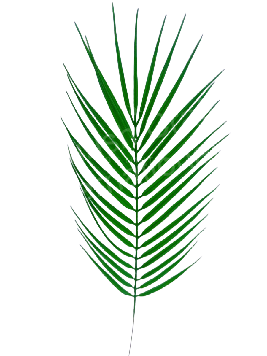 #5002 Plam Leaf – flourish Craft International