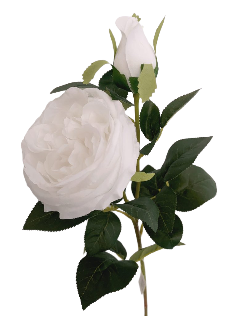 #1107 Rose (2 heads) – flourish Craft International