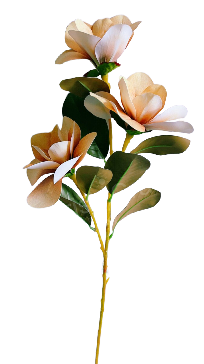 #1092 Magnolia Stem – flourish Craft International