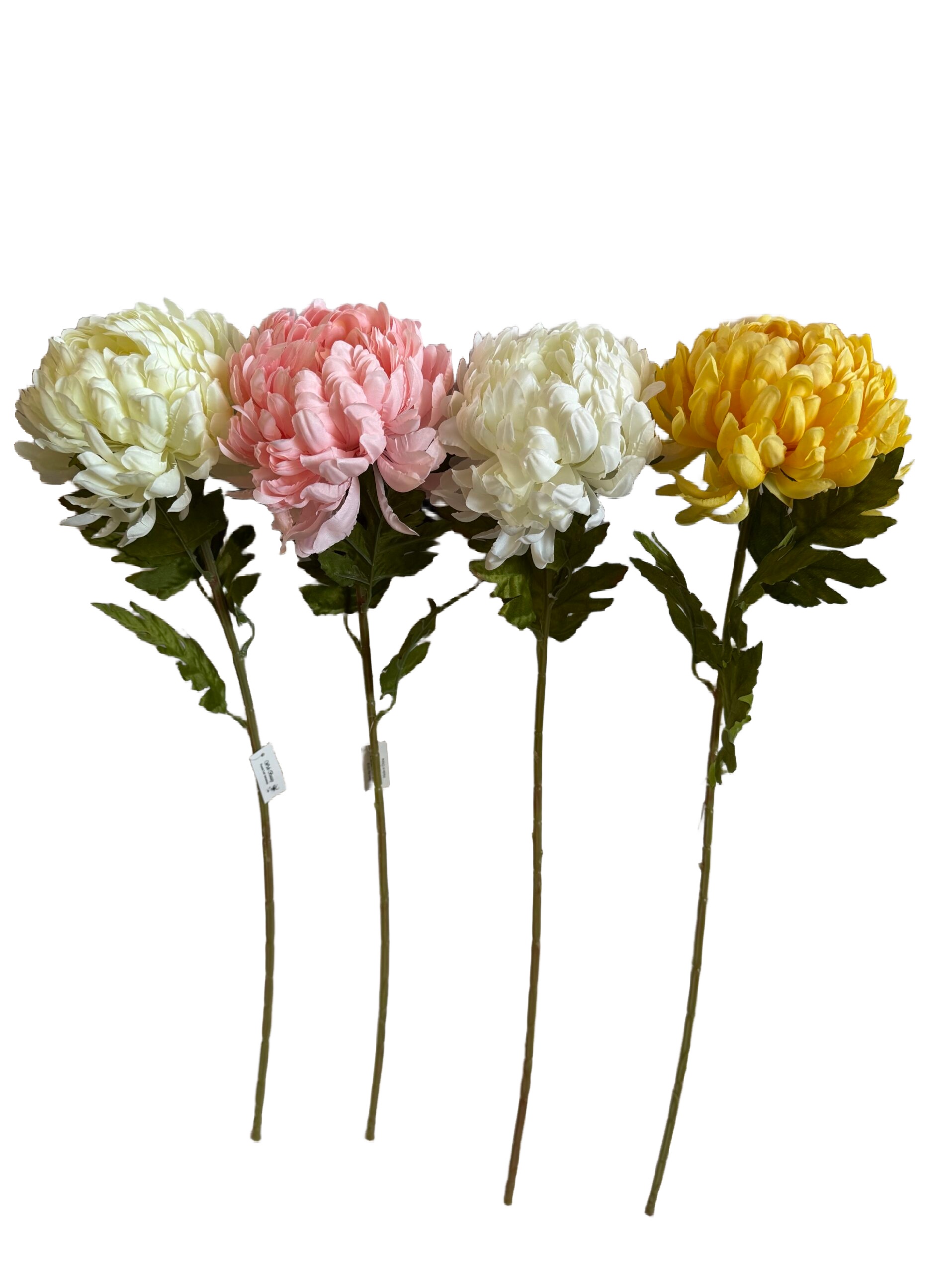 #1019 Chrysanthemum Stem – flourish Craft International